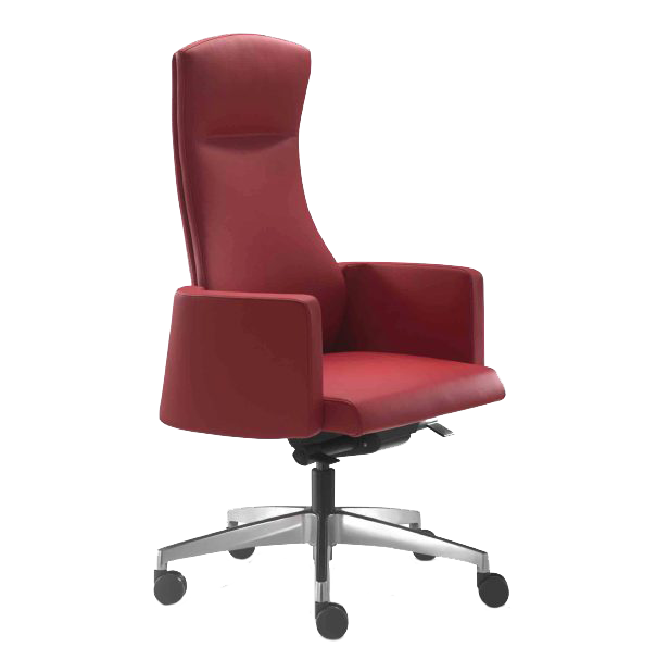 Executive Chairs - PROFLEX FURNITRUE