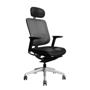 Executive Chairs - PROFLEX FURNITRUE