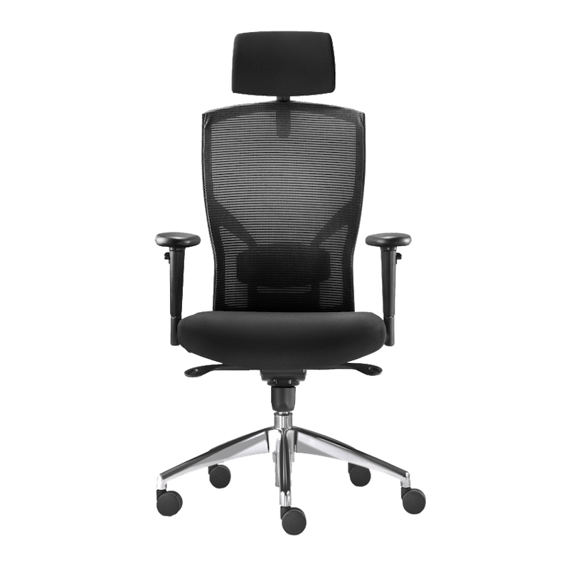 Executive Chairs - PROFLEX FURNITRUE